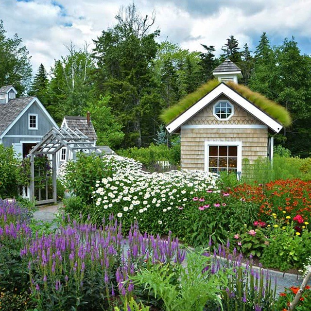 Sustainable Gardening Discussion with Rodney Eason | Center for ...